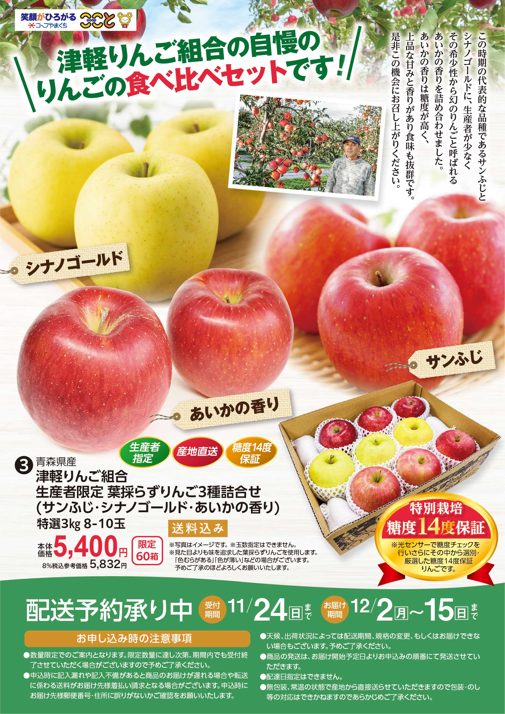 ringoB_kouryo | コープやまぐち